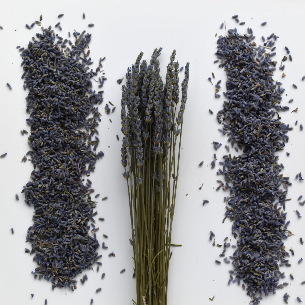 Organic Lavender – Toi Toi Botanicals