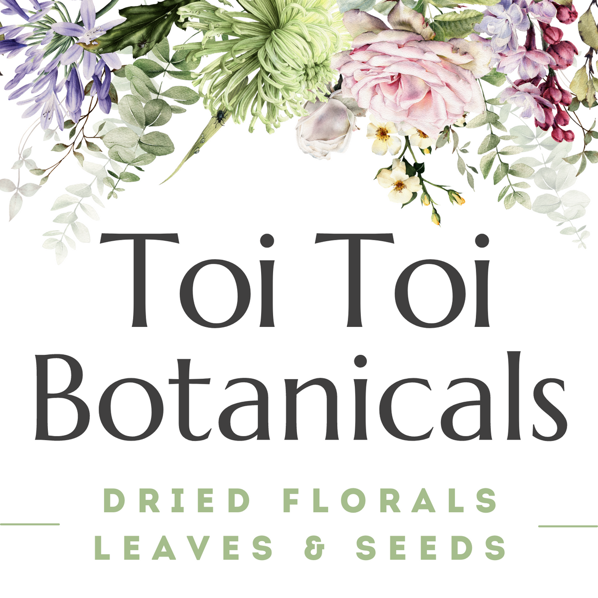 Toi Toi Botanicals | Dried Flowers, Herbs, Leaves & Seeds